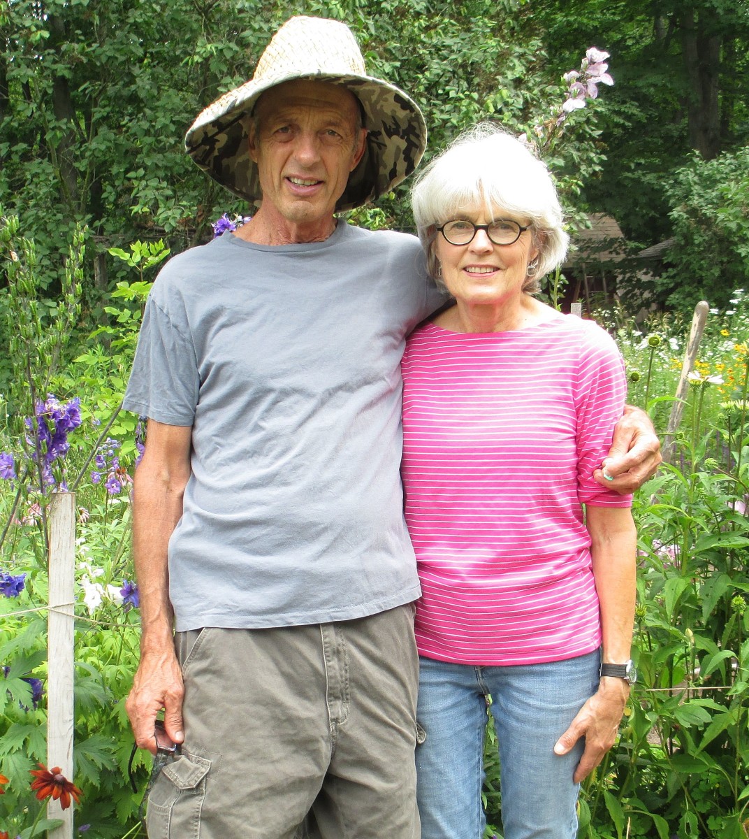 Peace Poles for the greater good – Glen Arbor Sun