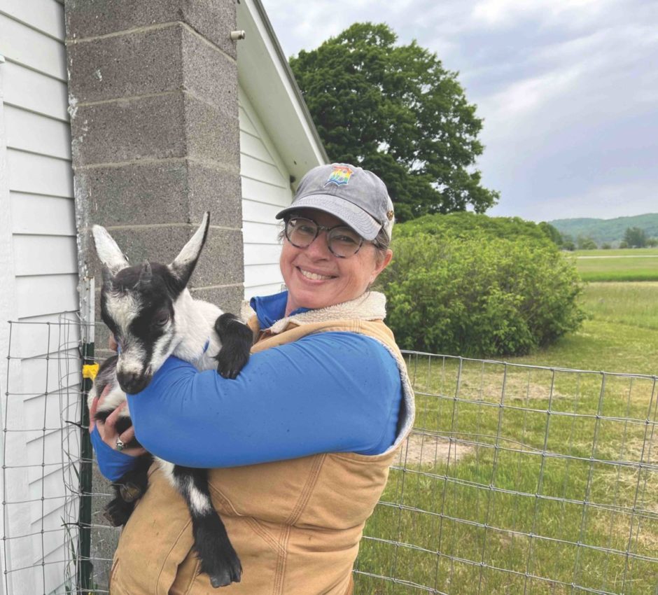 Goats feast at Port Oneida – Glen Arbor Sun