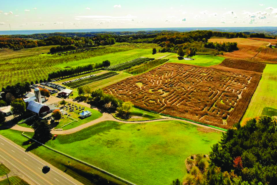Navigating the corn maze: Jacob’s Farm champions agritourism – Glen ...