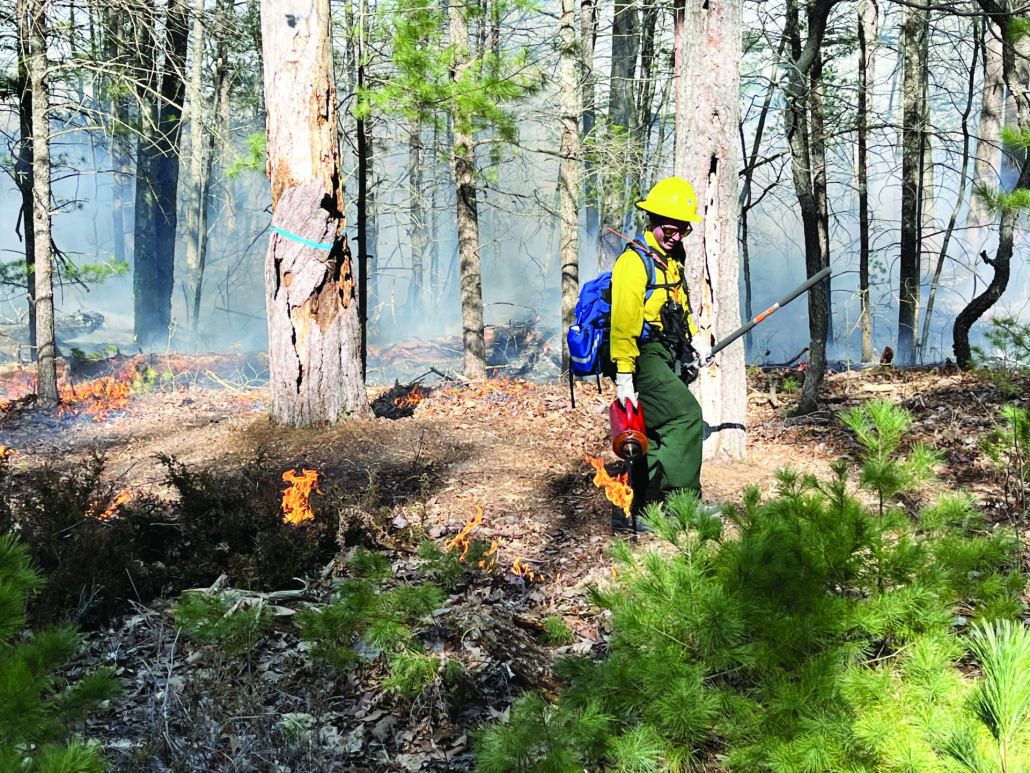 Sleeping Bear Dunes to conduct prescribed fires this spring – Glen ...