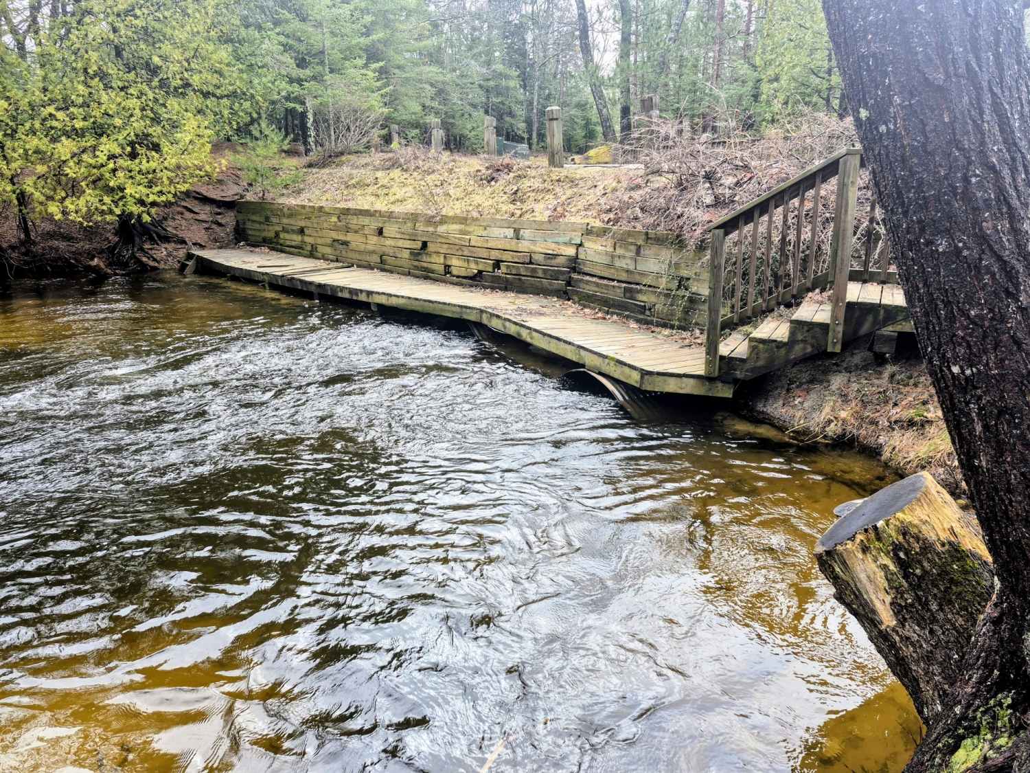 Crystal River flooding compromises The Mill, residents downstream ...